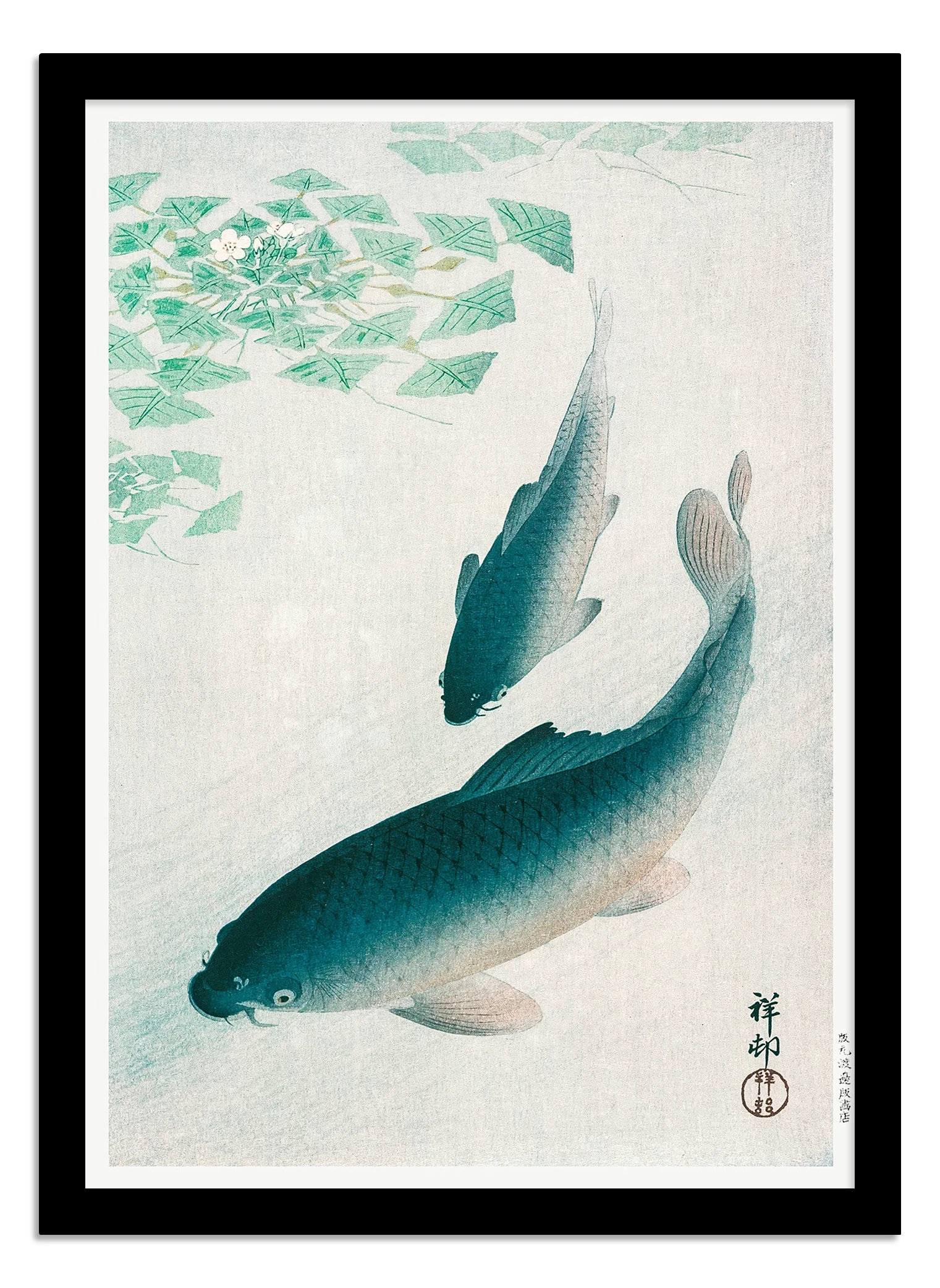 Carp print – Plume Prints